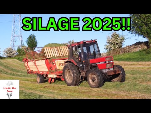 TOP QUALITY FIRST CUT - SILAGE 2025