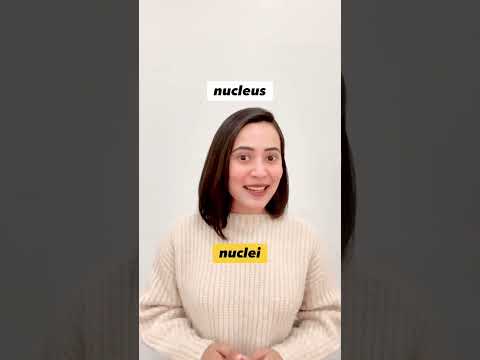 What is the plural form of the following words?