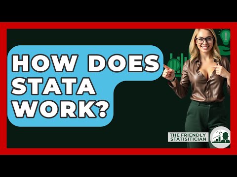 How Does Stata Work? - The Friendly Statistician