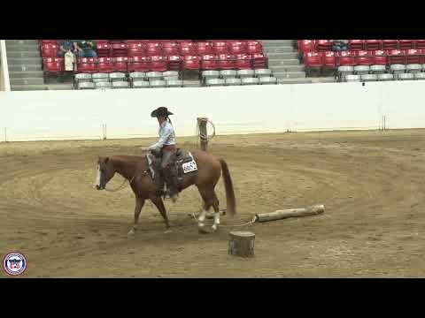 2024 Quarter Horrse Congress Amateur Ranch Trail ToniLynn Cline on Hopelessly D Voted