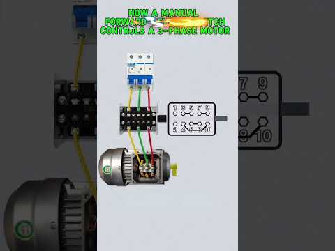 How Manual Switch Can Reverse a 3-Phase Motor | every electrician Must-Know 🔄⚡