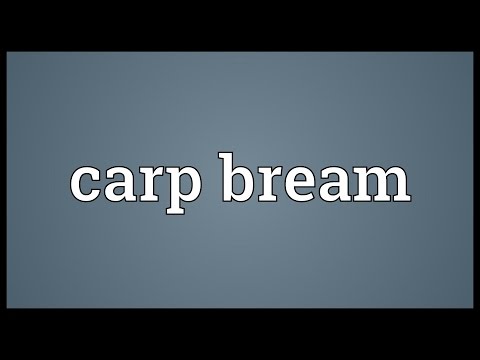 Carp bream Meaning