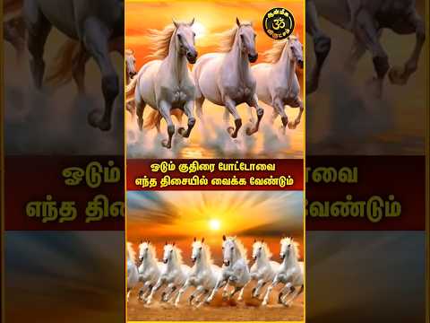 ஓடும் குதிரை போட்டோவை எந்த திசையில் வைக்க வேண்டும் #shorts #shortsfeed #trending #viral #shortstamil