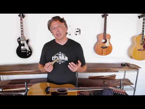 Taylor GS Mini Pickguard iMuso