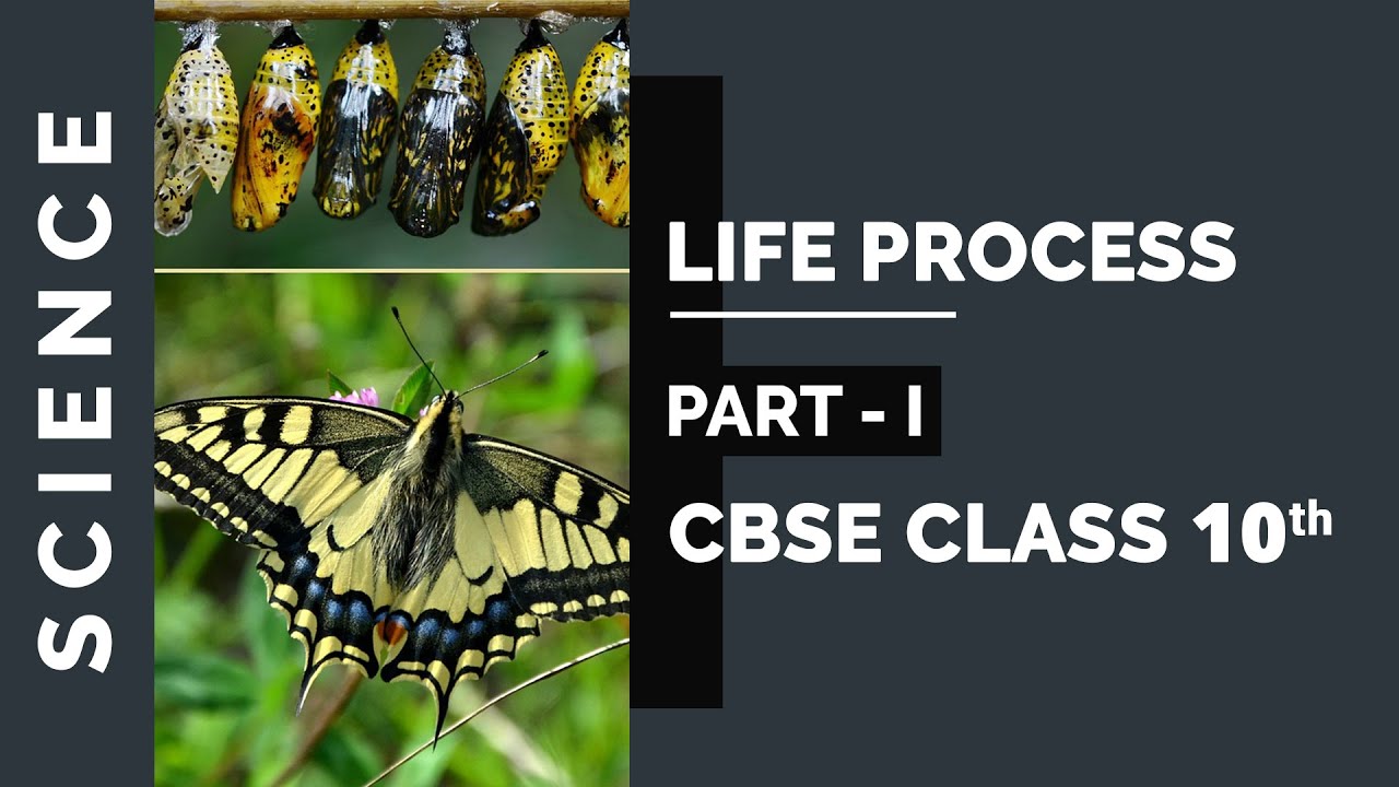 Chapter 6: Life Process Part-I| Class 10 Science NCERT Explanation Video