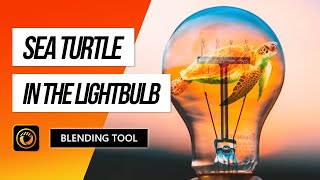 How to Put Two Pictures Together to Make a Collage or Blend into One