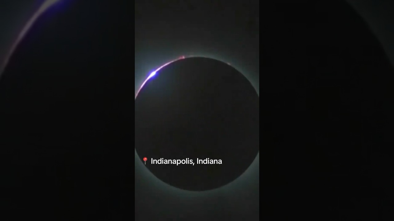 Eclipse reactions from across U.S. #shorts