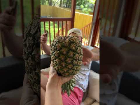 Upside down pineapple 🍍 #couples #funny #viral #fyp
