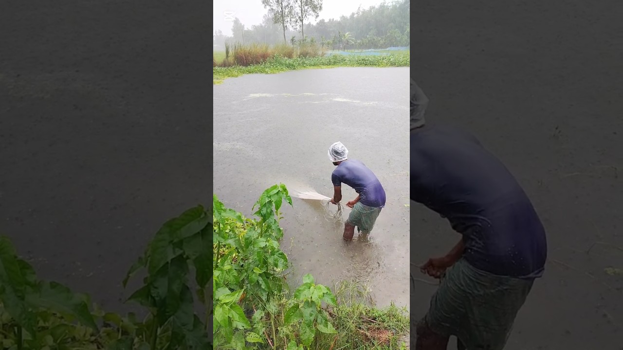 Flood water fishing scene #fishingreels