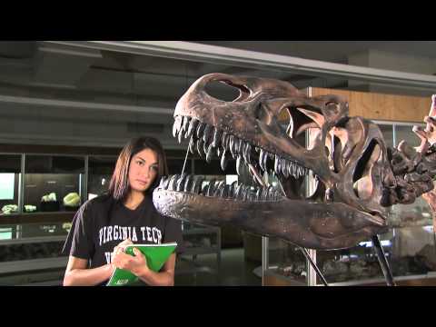 Virginia Tech: Admissions Open House