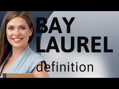 Bay laurel | BAY LAUREL definition
