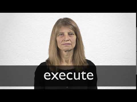 EXECUTE Synonyms | Collins English Thesaurus