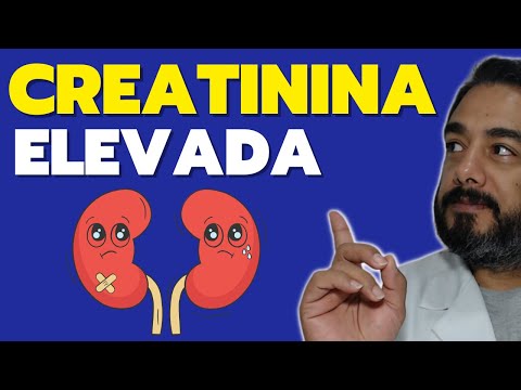 Creatinina Alta no Exame de Sangue: Descubra as Causas e Como Interpretar os Valores!