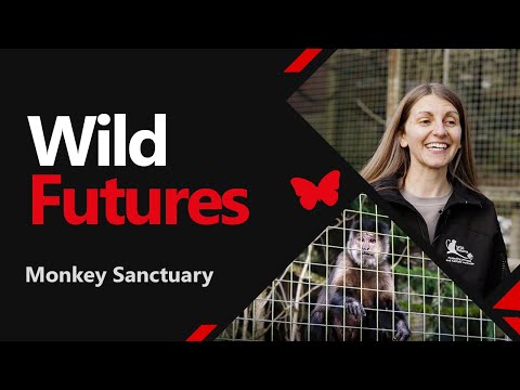 CHAOS Radio - Wild Futures Monkey Sanctuary
