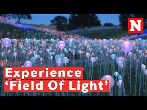 Experience The Field Of Light At Sensorio Created By Installation Artist Bruce Munro