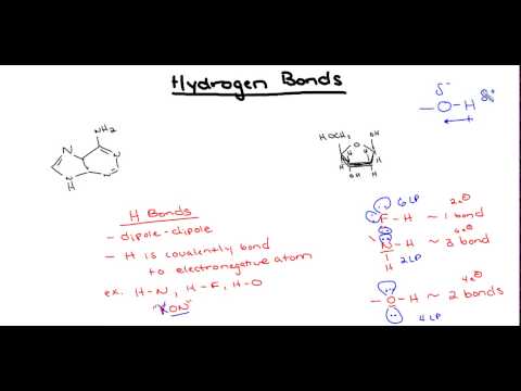 Hydrogen Bonding (AP Biology)