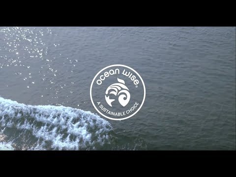 What is Ocean Wise Seafood?