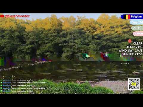 🇧🇪 Belgium cycling! Girl Solo Europe tour! | Day 74 |  !map !Saily #ad