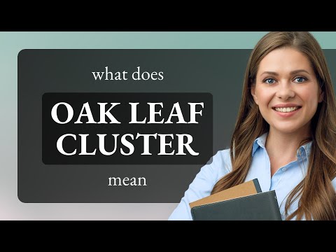 Oak leaf cluster • definition of OAK LEAF CLUSTER