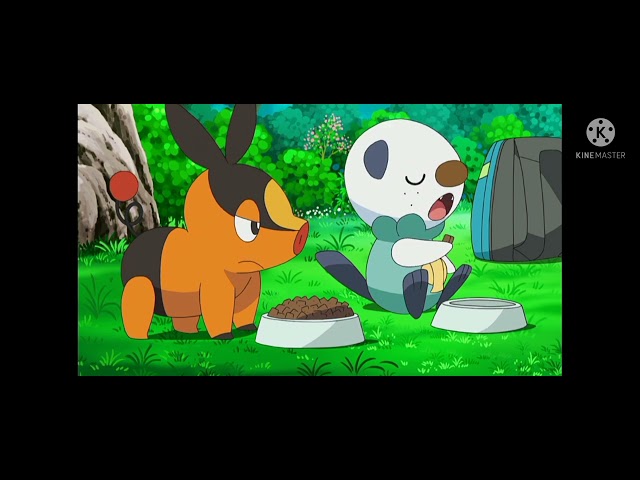 Who are Pig Pokemon? Exploring the unique pocket monsters across all ...