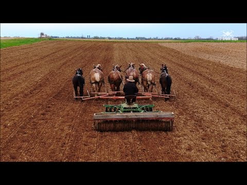 Amish Fieldwork in Spring, Lancaster County, Pennsylvania - aerial drone point of view
