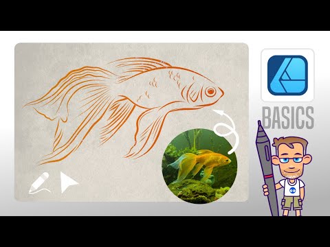 Affinity Designer Tutorial - Manually Tracing with the Pencil Tool