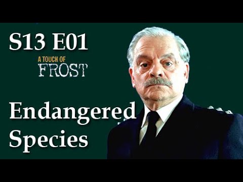 A Touch of Frost S13E01 - Endangered Species / full episode