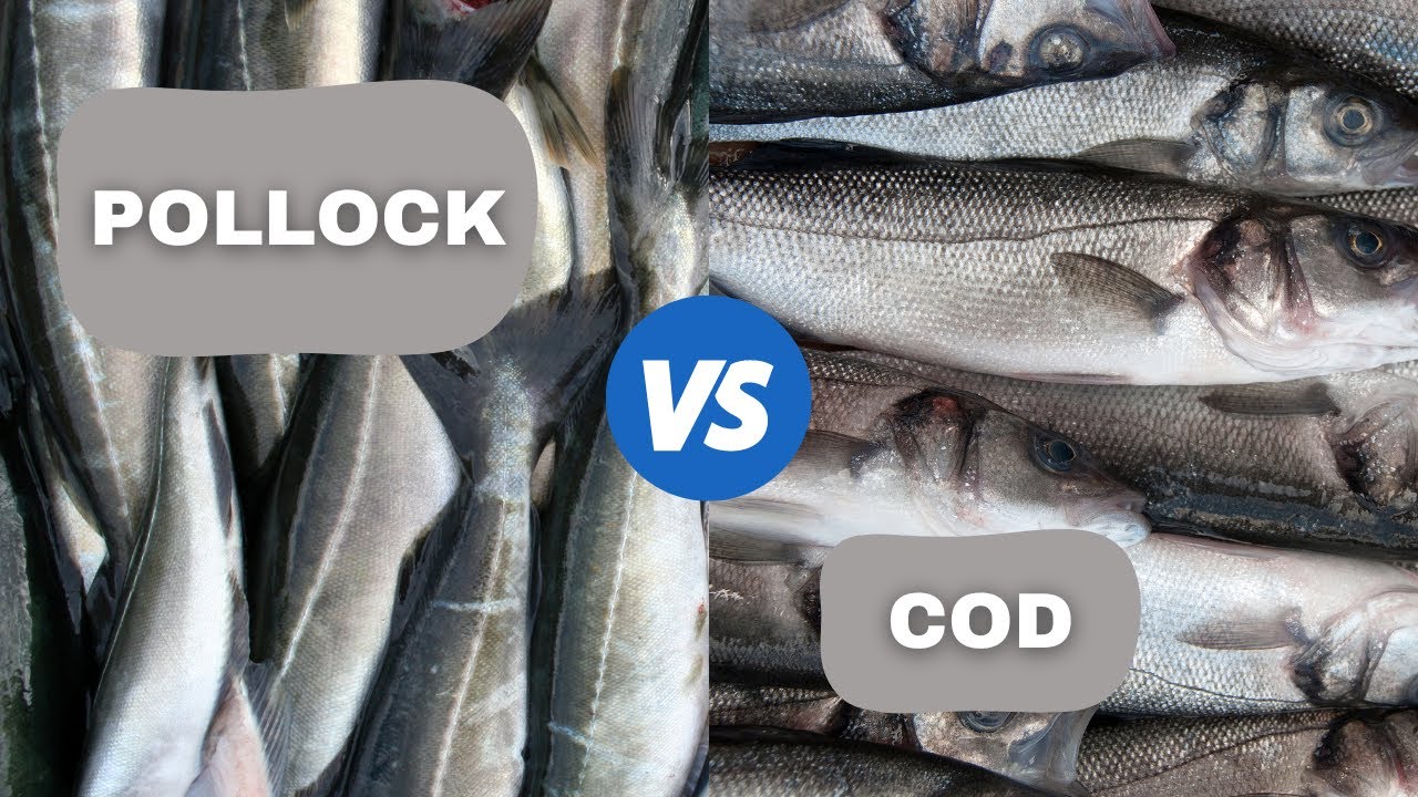 Pollock vs Cod | Which is Better?