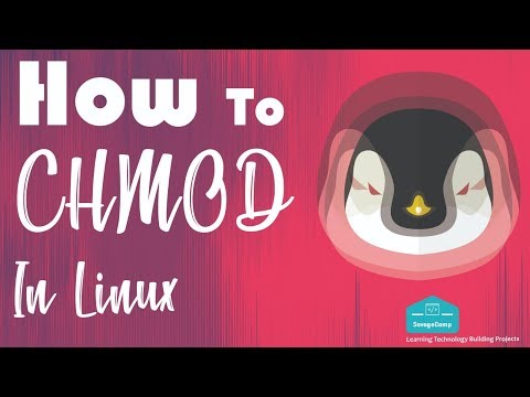 How to use chmod in Linux