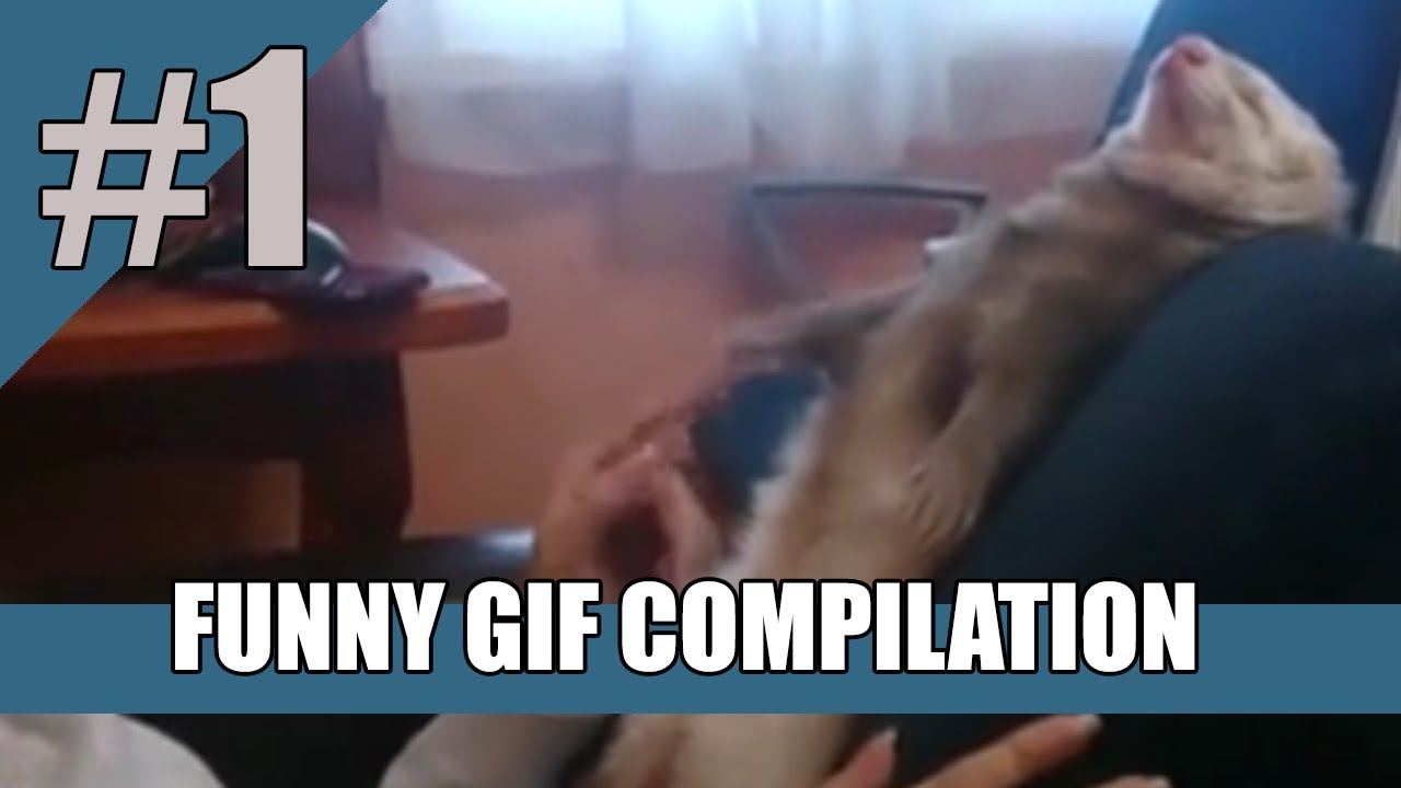 FUNNY VIDEO GIF COMPILATION #1