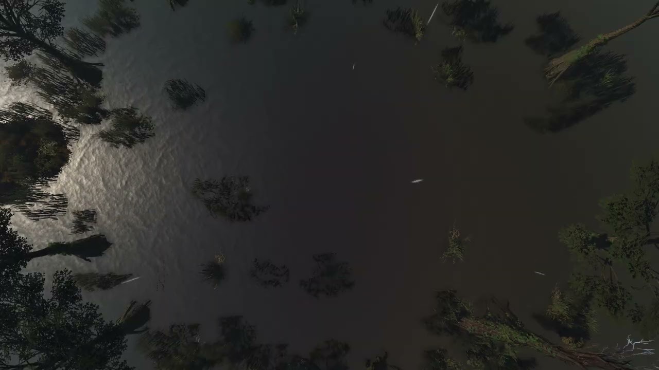 Swamp D&D animated map