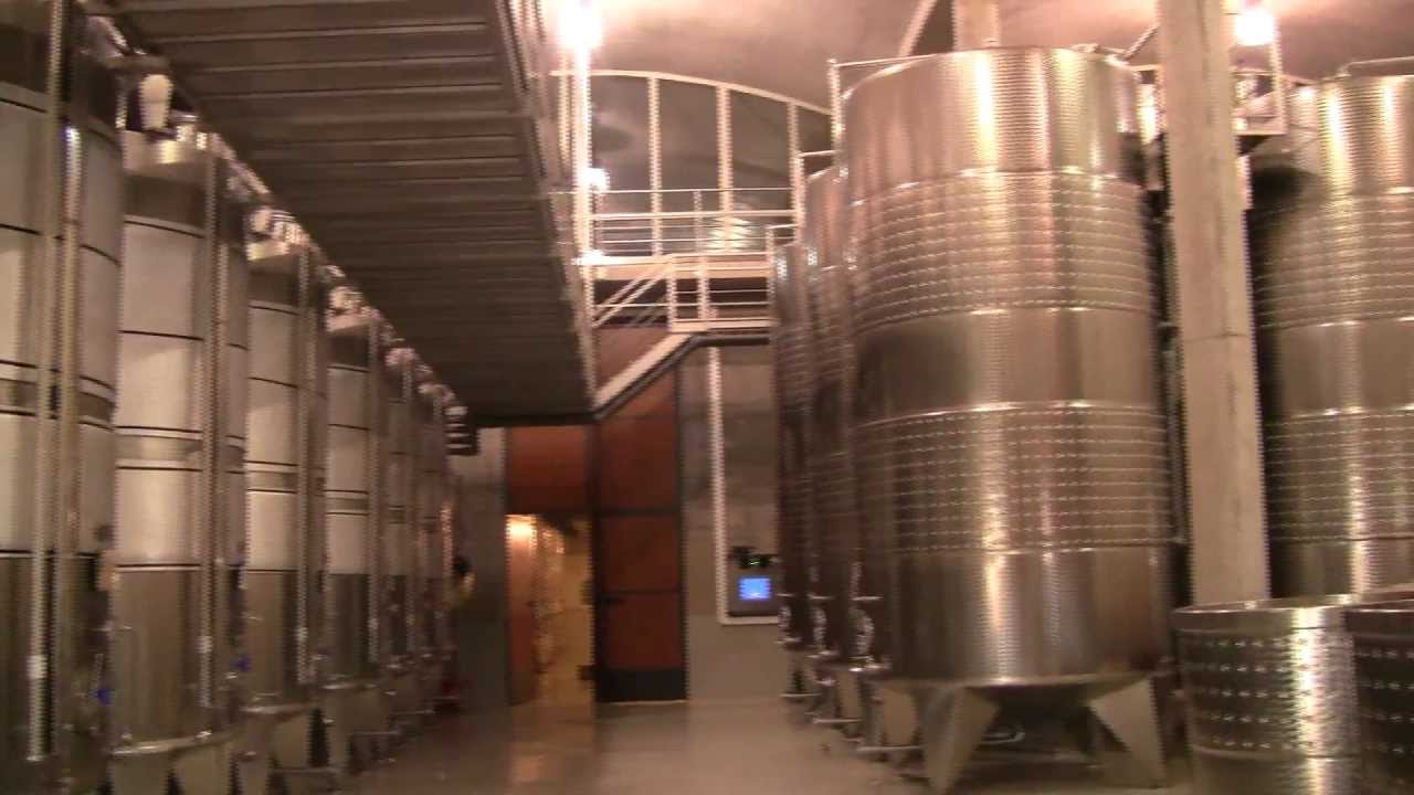 Royal Tokaji Tour