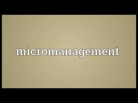 Micromanagement Meaning