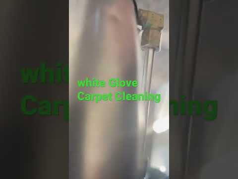 White Glove Carpet Cleaning Bear Delaware (Carpet cleaners near me) Before and after video
