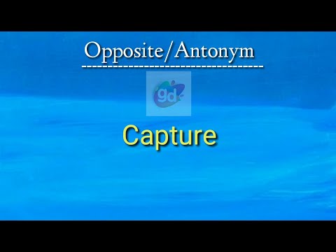 Capture Opposite/Antonym Word||Googul Dictionary#Capture