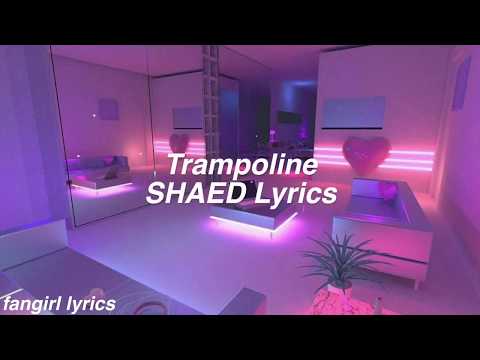 Trampoline || SHAED Lyrics