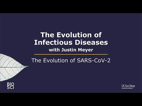The Evolution of SARS-CoV-2