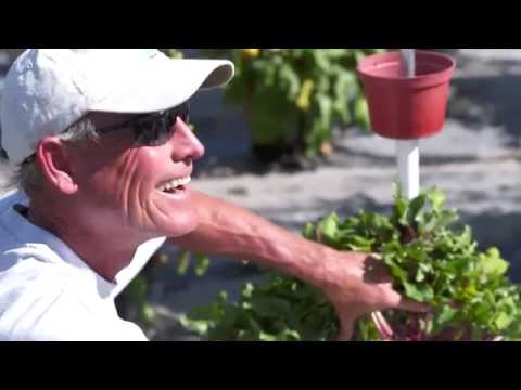 A Visit to Alegría Fresh Farms at Orange County Great Park | Gro Something Greater™