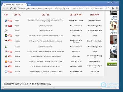 System Tray Cleaner demonstration