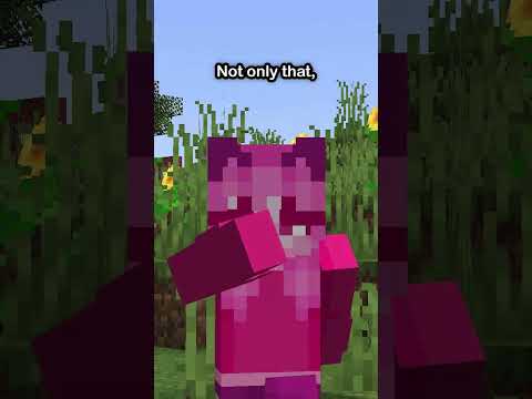 BEST Minecraft Mods For Low-end PCs!
