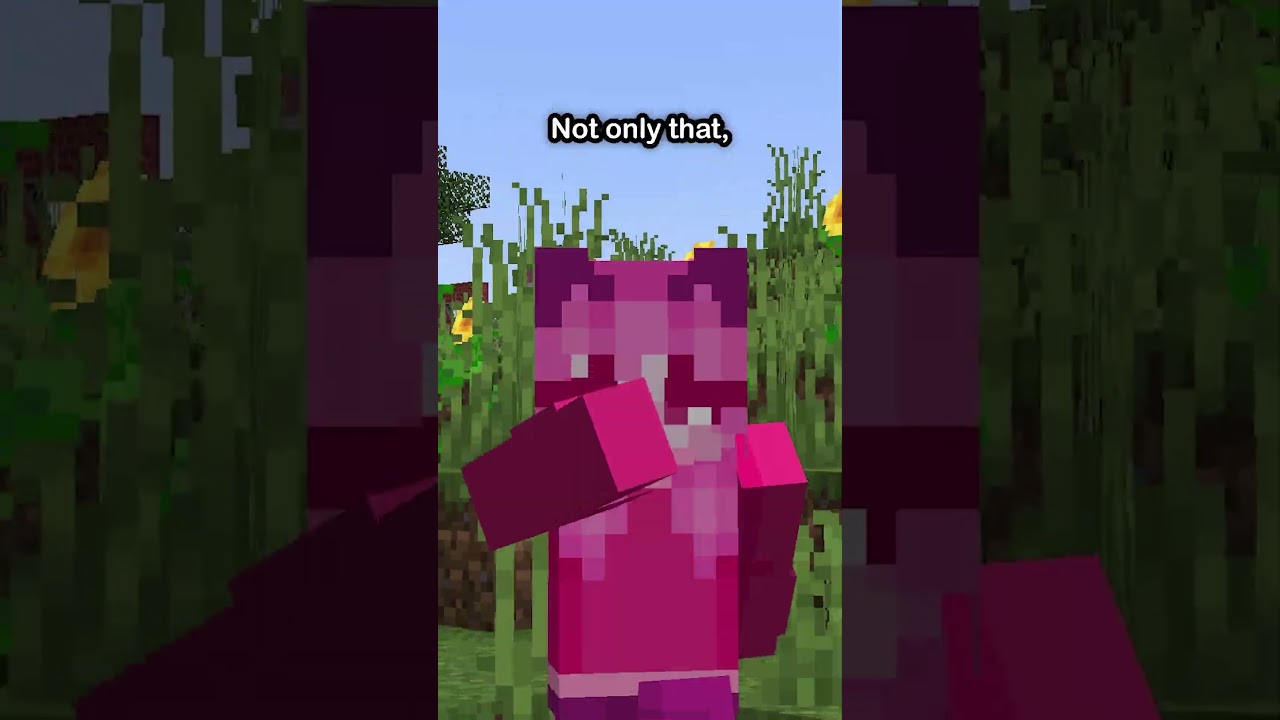 BEST Minecraft Mods For Low-end PCs!