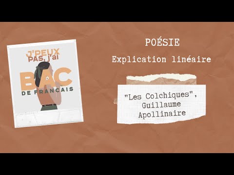 Explication linéaire : « les colchiques », Guillaume Apollinaire