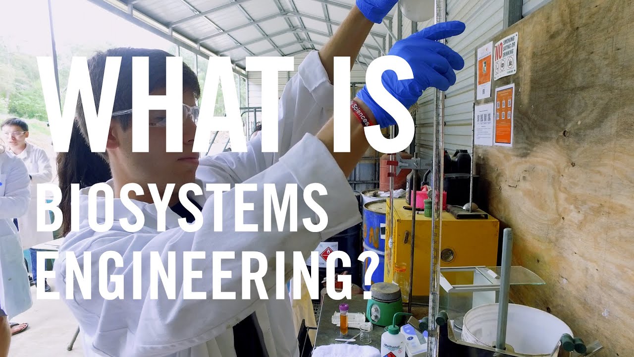 Biosystems Engineering | Pathways In Engineering