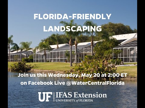 Water Wednesday -Florida-Friendly Landscaping