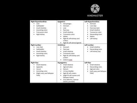 Nine region of abdomen