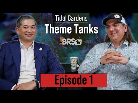 Than Shares 8 Reef Tank Themes to Take You Beyond a Mixed Reef!