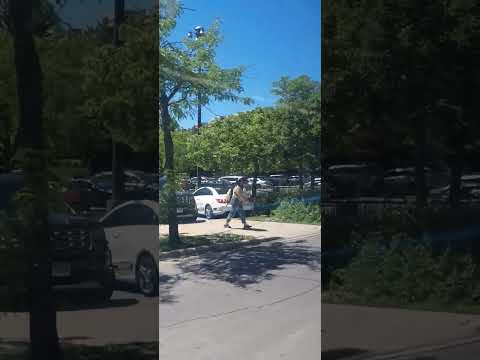 86 Narragansett CTA bus to Wright College 6/10/2024