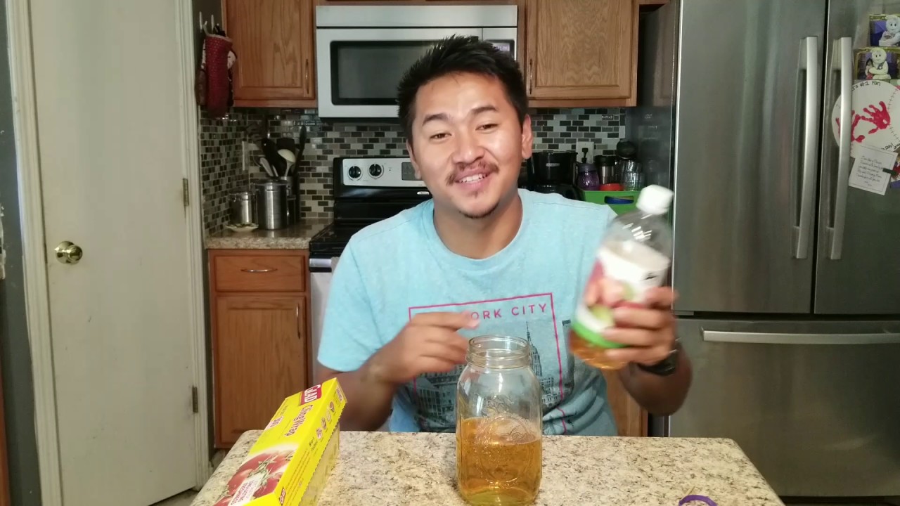 Homemade Gnat Trap - Apple Cider Vinegar