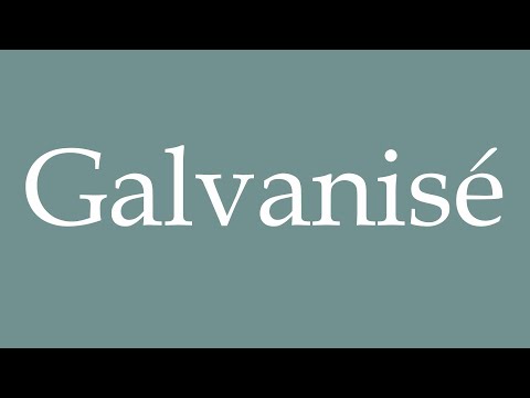 How to Pronounce ''Galvanisé'' (Galvanized) Correctly in French