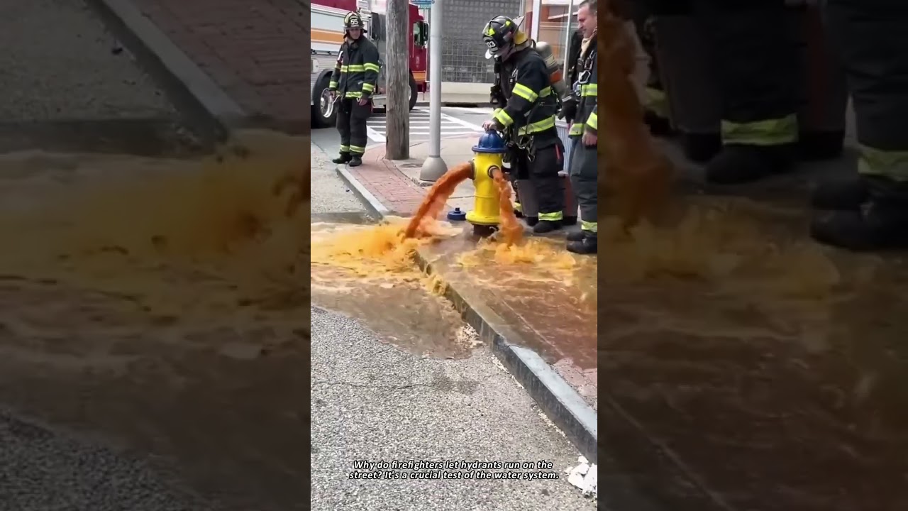 Understanding the Fire Hydrant Flushing Process